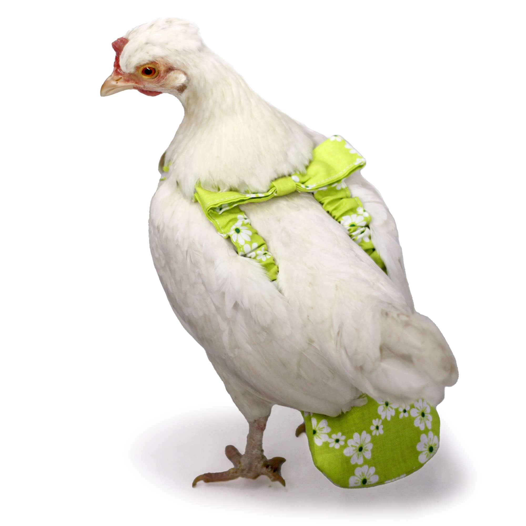 Washable Chicken Diapers for Hens or Roosters - Fashionable Nappy - Pet Chicken Diaper (Fall Bounty, Small)