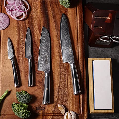 Sunnecko Knife Sets for Kitchen with Block,7 PCS Damascus Kitchen Knife Set,67-Layer Japanese VG10 High Carbon Stainless Steel Blade,Full Tang Forged,Ergonomic Handle,Whetstone&Scissors Include