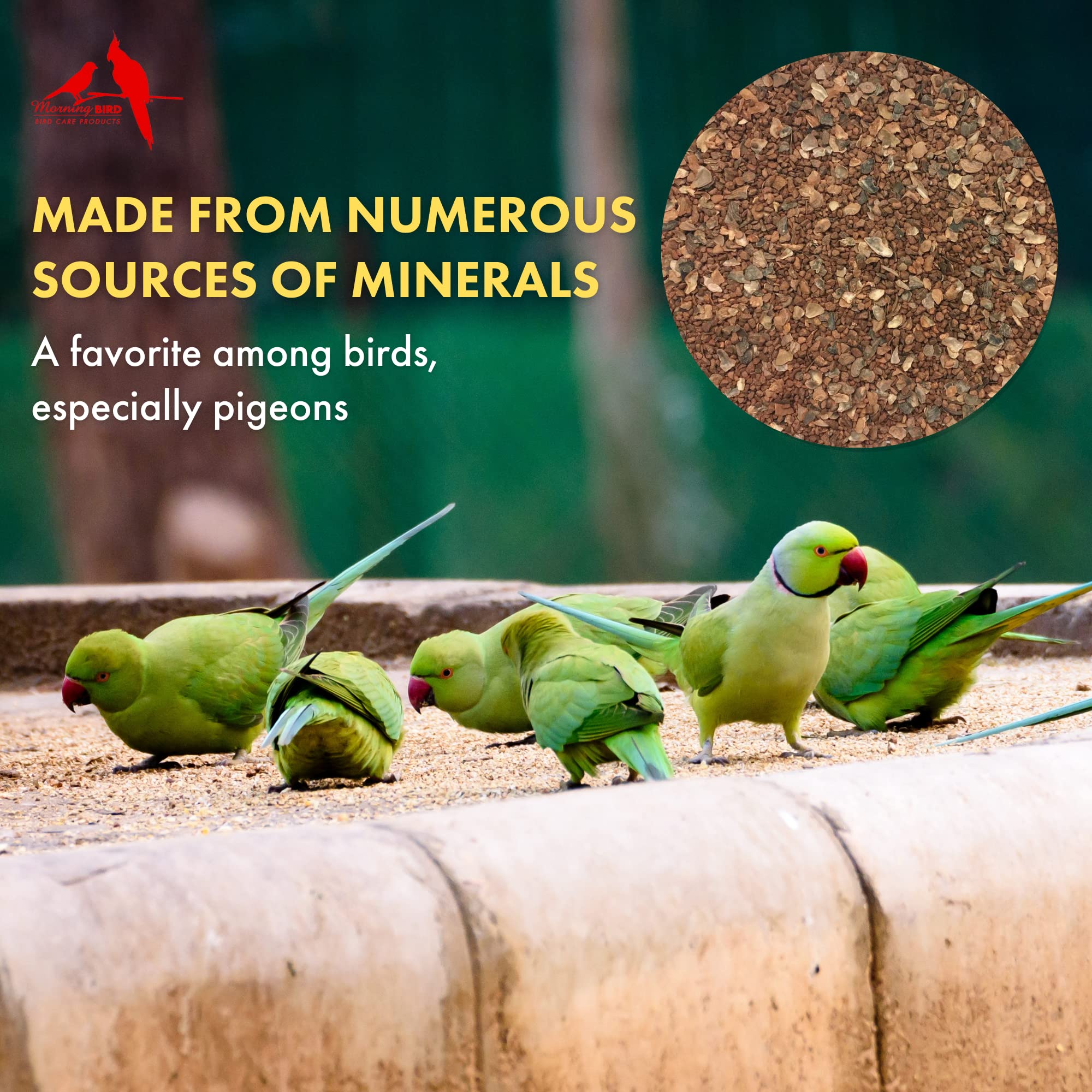 Morning Bird Pigeon Grit, Healthy Bird Seed with High Mineral Content
