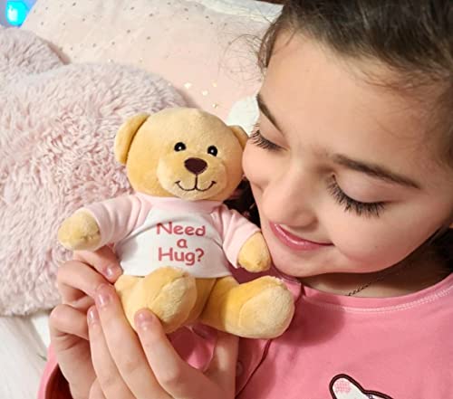 Soft and Cuddly 6 Inch Small Plush Comforting Stuffed Animal with T-Shirt (Need a Hug Teddy Bear)