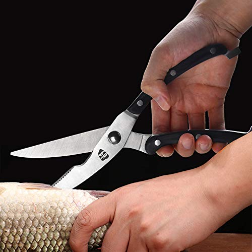 TUO Kitchen Shears - Heavy Duty Kitchen Scissors, Multi-functional Shears for Bone Poultry Meat Fish - German Steel & Pakkawood Handle with Safety Lock - Falcon Series with Gift Box