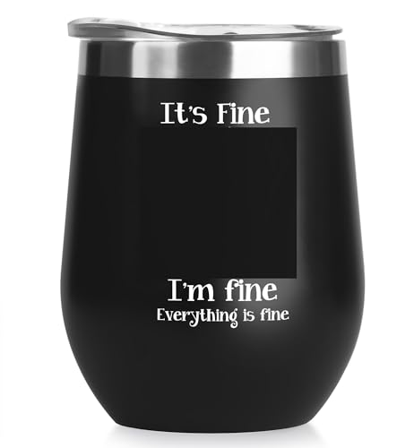 Niduilef Funny Dumpster Fire Stainless Steel Tumbler-Office Decor Desk Accessories,Gifts for Coworkers