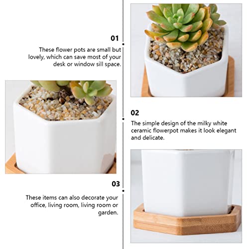 Yardwe 4 Sets Succulents Table Hexagon Plant Containers with Arrangement Balcony Ceramic Center Planter Saucer Pot Desktop Gardening Bonsai Bamboo Pots Decorative Decoration Hole Tray