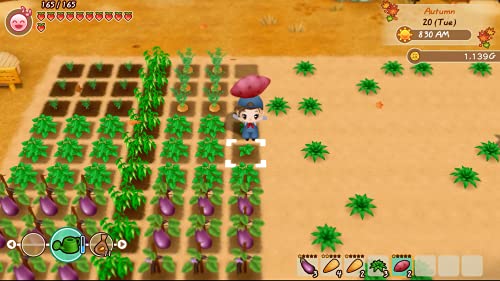 Story of Seasons: Friends of Mineral Town - Xbox One