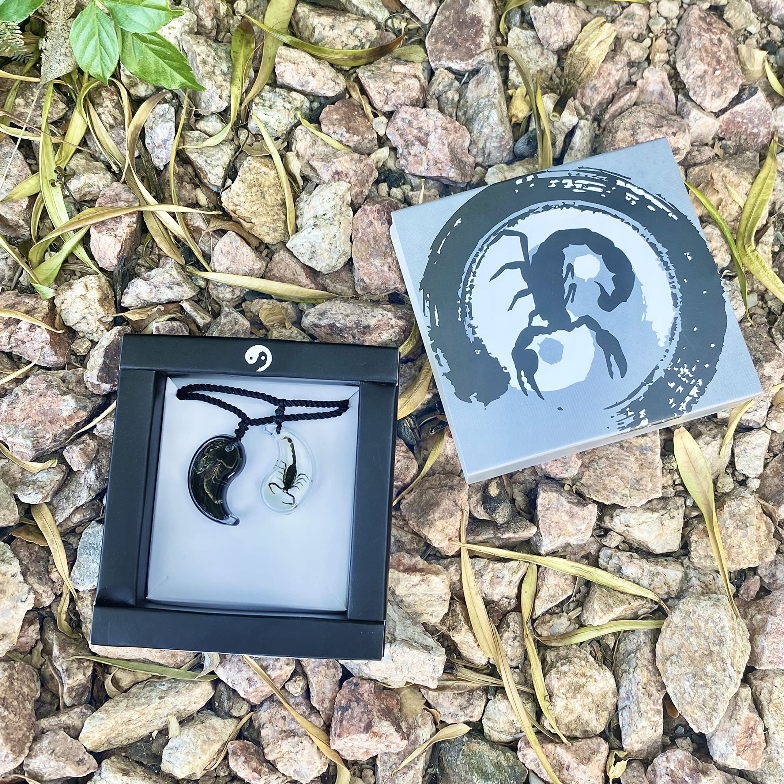 Sonoran Souvenirs Genuine Scorpion Lucite Casted 2 Matching Yin Yang Necklace Set Anniversary Valentines Gift