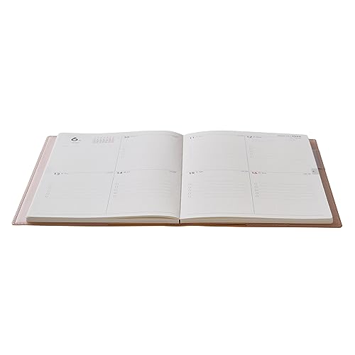 Nippon Management Association Management Center, Noritsu NOLTY Notebook, 2024, B6, Weekly Ecre, 8, Camel, 2279 (Begins December 2023)