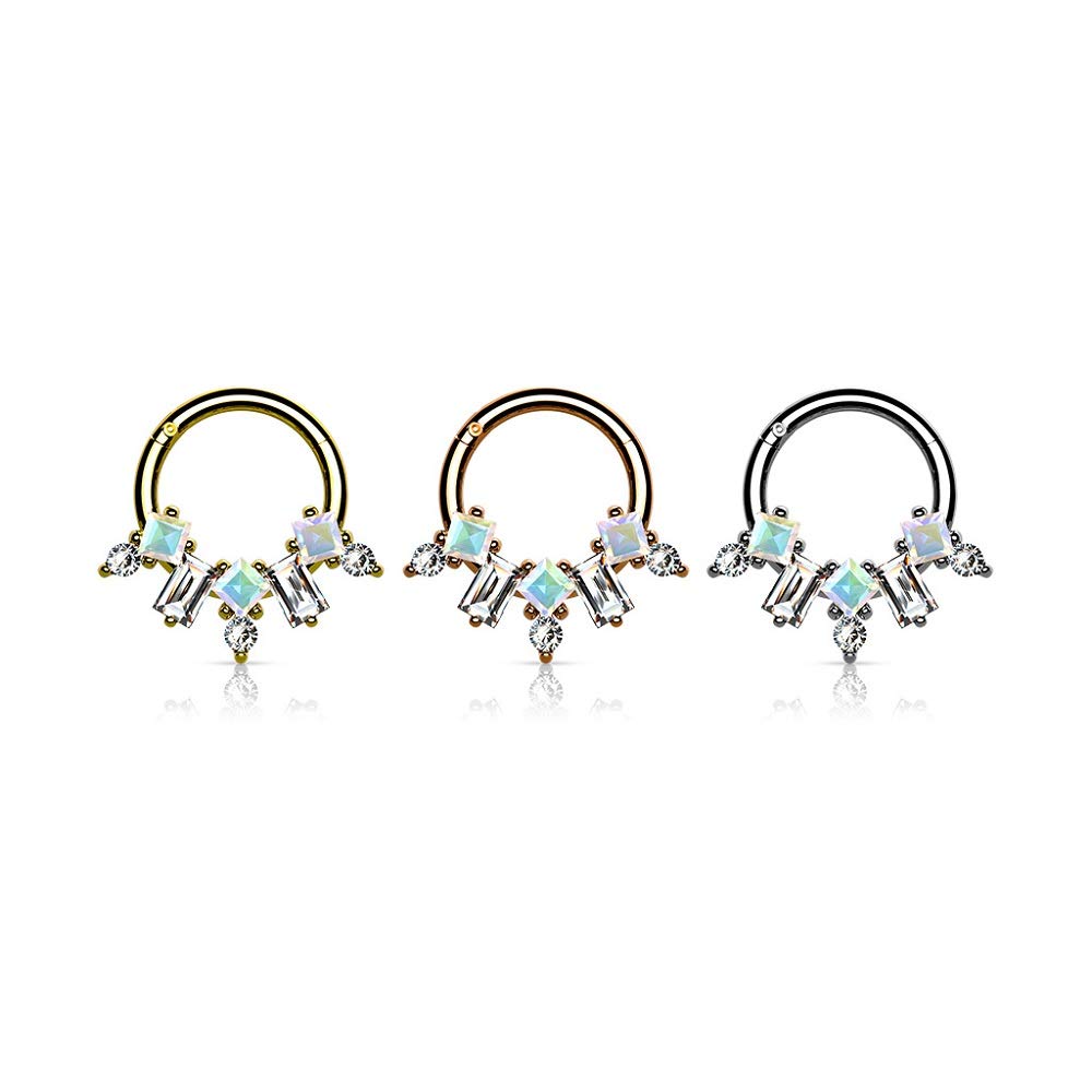 Pierced Owl 16GA Stainless Steel Multi CZ Crystal Fan Cartilage Helix Daith Septum Hinged Segment Ring (Silver Tone)