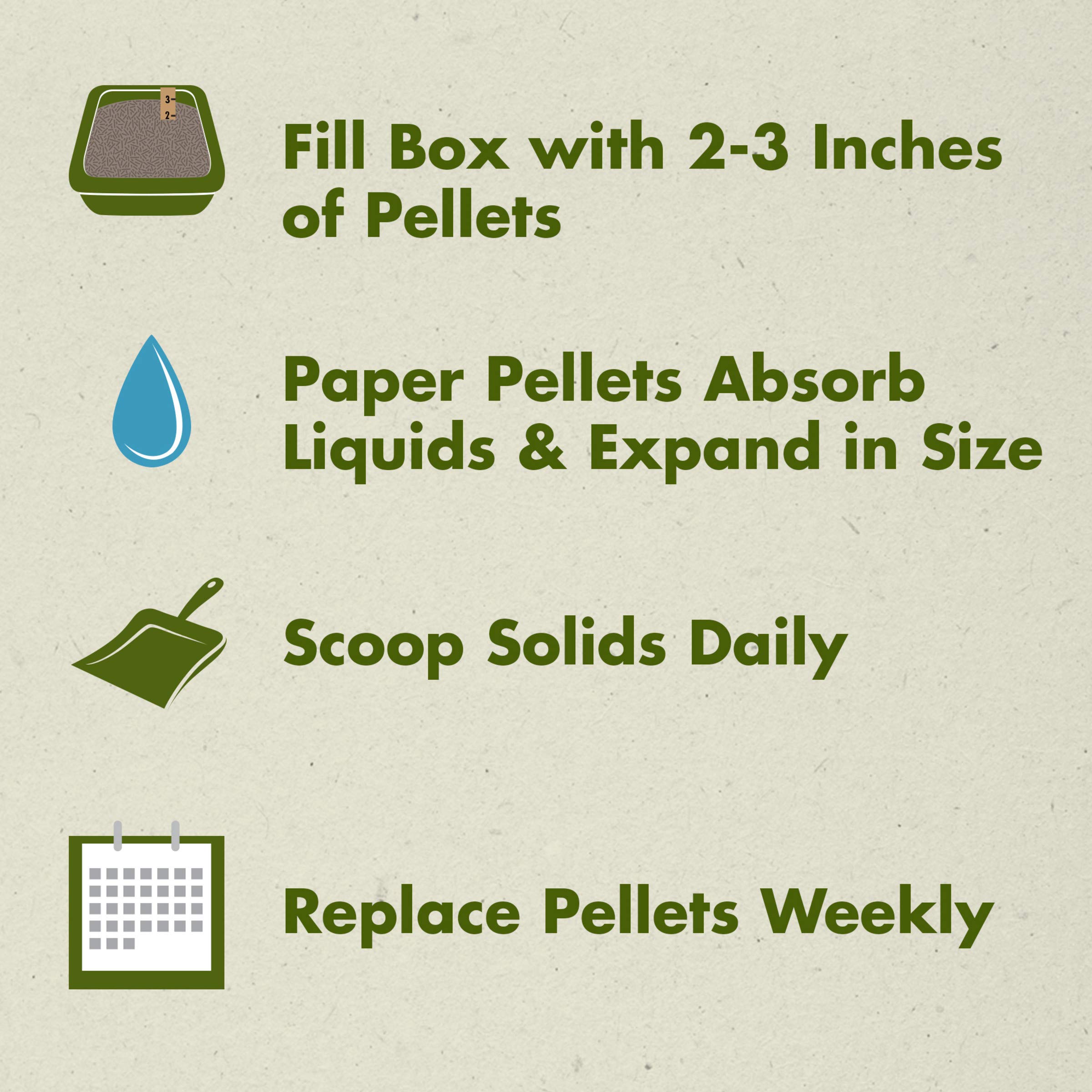 Purina Yesterday's News Non Clumping Paper Cat Litter, Unscented Low Tracking Cat Litter in Recyclable Box - 30 lb. Bag