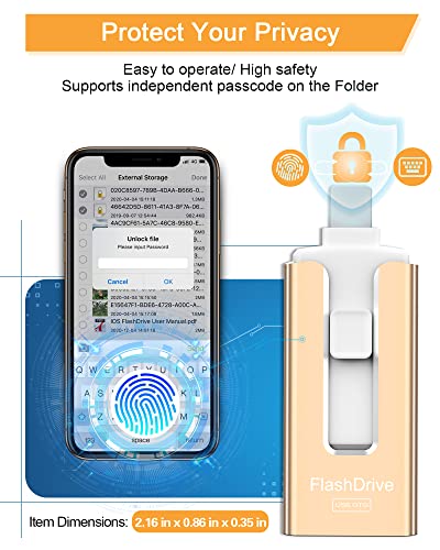 Sunany USB Flash Drive 256 GB for Phone and Pad, High Speed External Thumb Drives USB Memory Storage Photo Stick for Save More Photos and Videos (Gold)