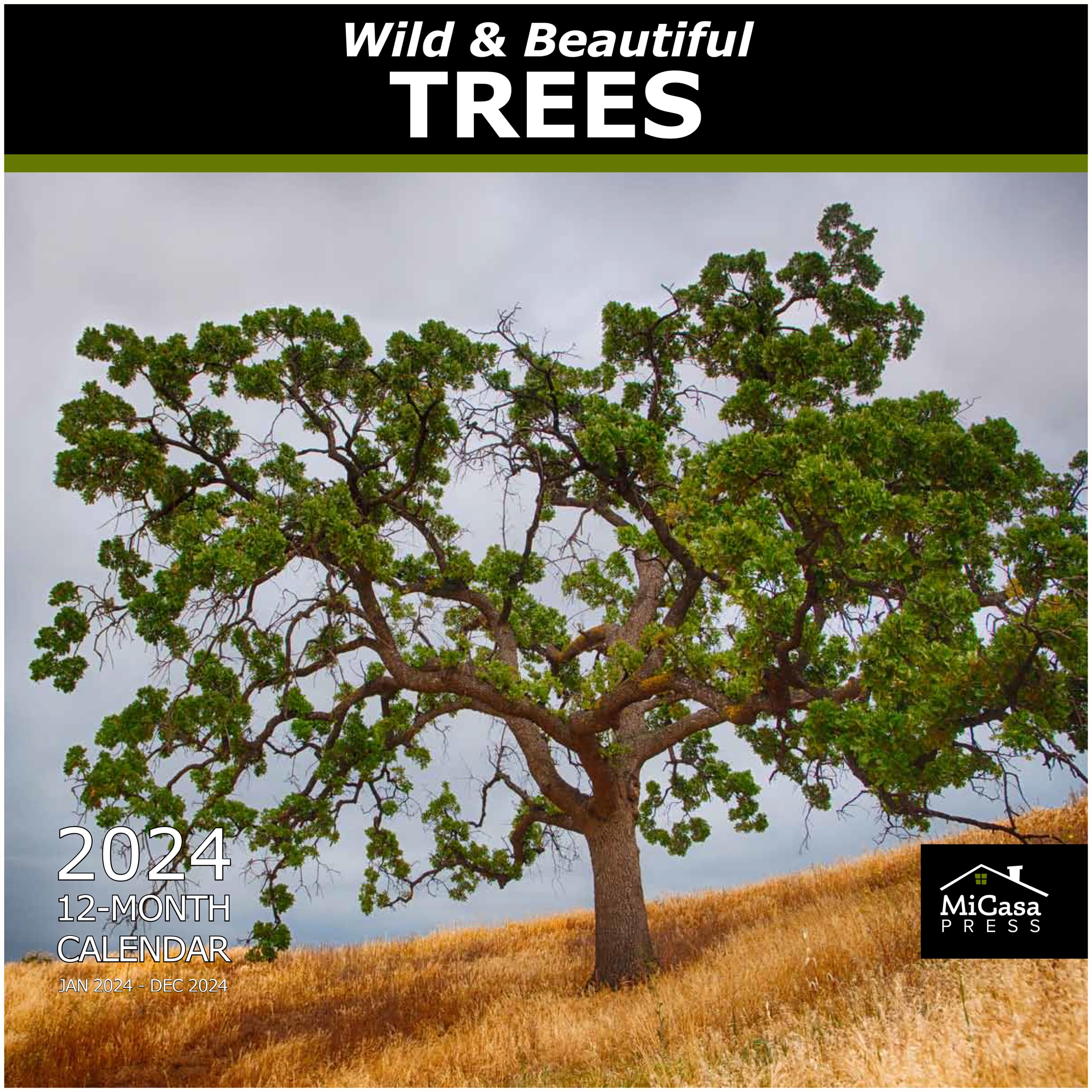 MICASA Wild & Beautiful Trees Hangable Monthly 2024 Wall Calendar | 12" x 24" Open | Thick & Sturdy Paper | Giftable | Scenic Nature Pathways | Beautiful Trees around the World