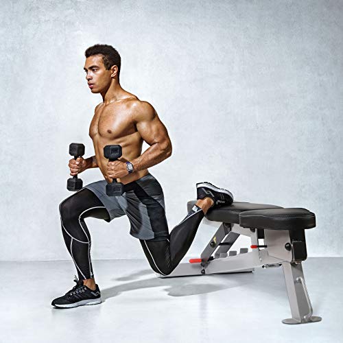 RitFit Adjustable/Foldable Utility Weight Bench for Home Gym, Weightlifting and Strength Training - Bonus Workout Poster with 35 Total Body Exercises(B-Black/Silver)