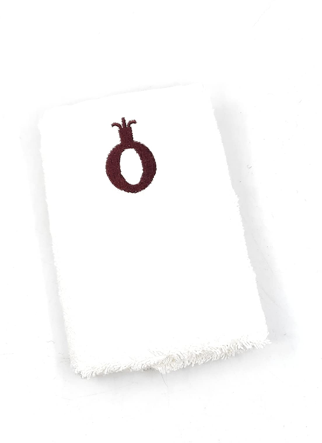 Unique Laser-Cut Stainless Steel Passover Seder Plate with Glass Insets, Matzah Cover + Towel Original Judaica Design (Lacey Pomegranates)