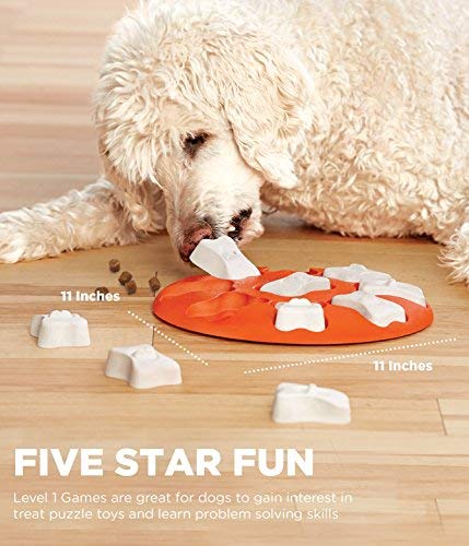robots master for Nina Ottosson by Outward Hound Dog Smart Orange Interactive Treat Puzzle Dog Toy