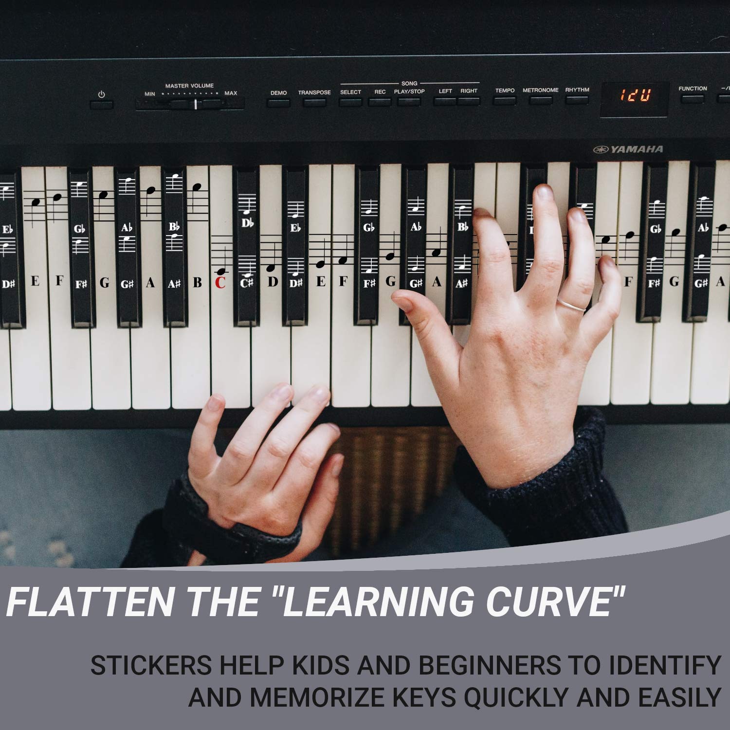 QMG Piano and Keyboard Stickers and Complete Piano Music Lesson and Guide Book for Kids and Beginners