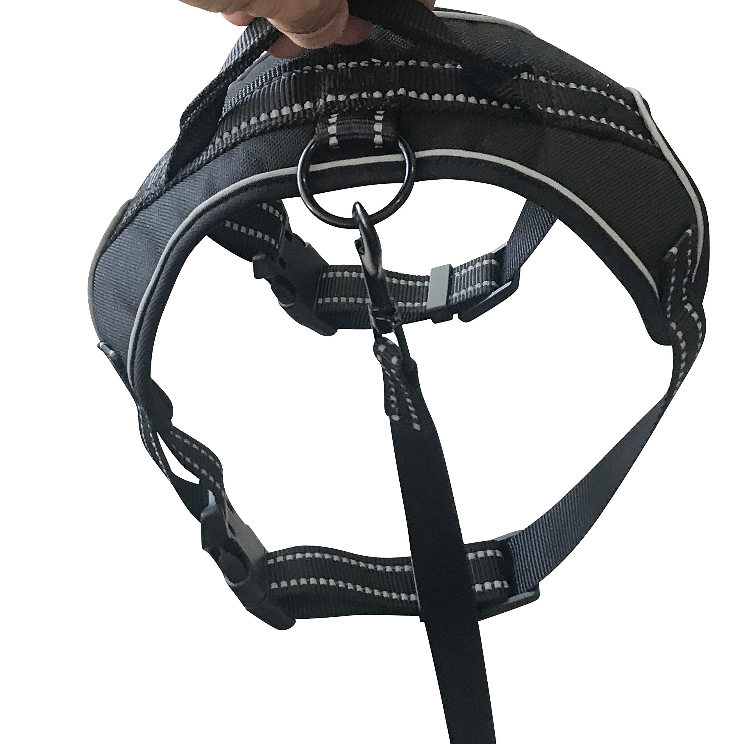 QualityVibe Dog Harness Kit Includes Leash & Waste Bag Holder. Breathable & Padded Material Great Gift for New Dog Owner. Reflective for Night Walk. (Medium, Black)