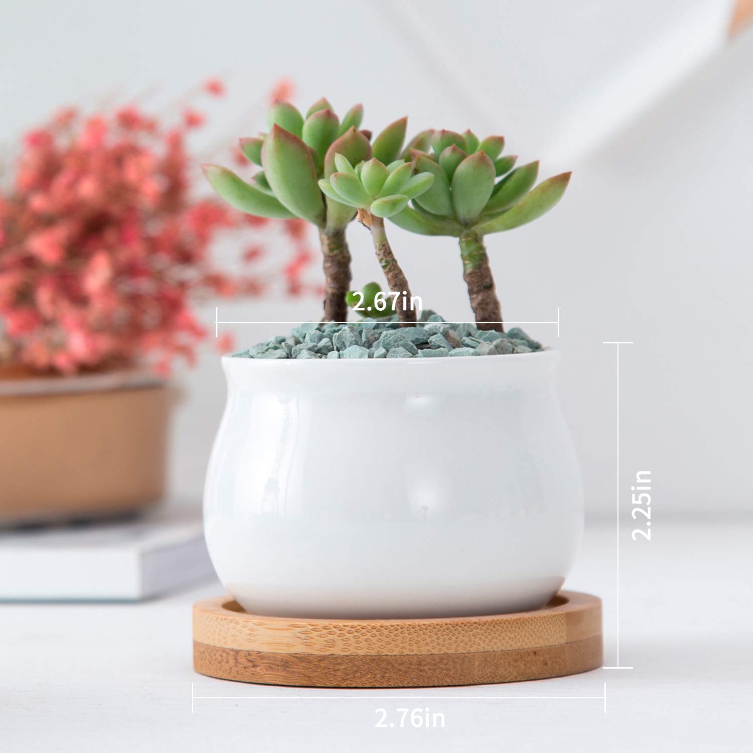 Succluent Pots ,Small Flower Pots Planter Pots with Drinage,Ceramic Flowers Pots with Bamboo Tray for Cactus(12 Pack
