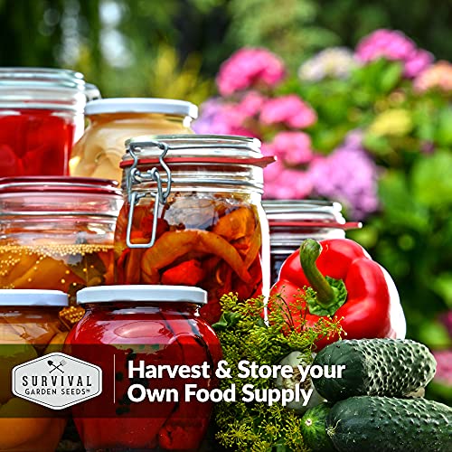 Survival Garden Seeds Paste Tomato Collection - Roma and San Marzano Tomato Seeds for Planting in The Garden - Non-GMO Heirloom Varieties