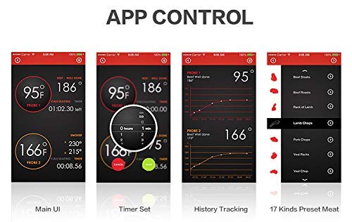 TempoChef Bluetooth Smart Meat Thermometer for Grill Oven and Smoker, Cooking Food and Control Temperature Smart, Dual Stainless Steel Probes