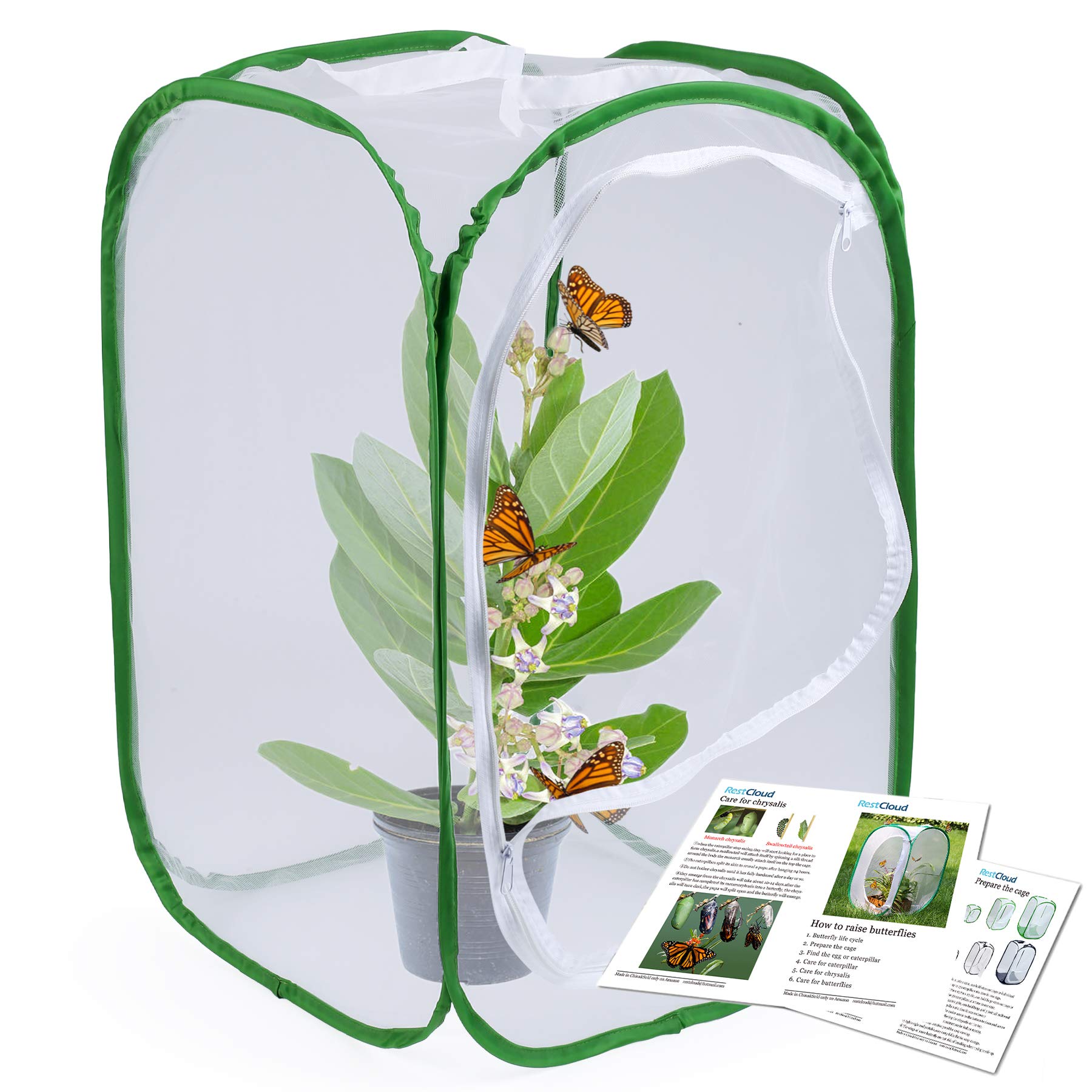 RESTCLOUD Small Butterfly Habitat Insect Cage Caterpillars Enclosure Pop-up Clear Mesh 6 Mesh Panels 12 x 12 x 12 Inches Tall