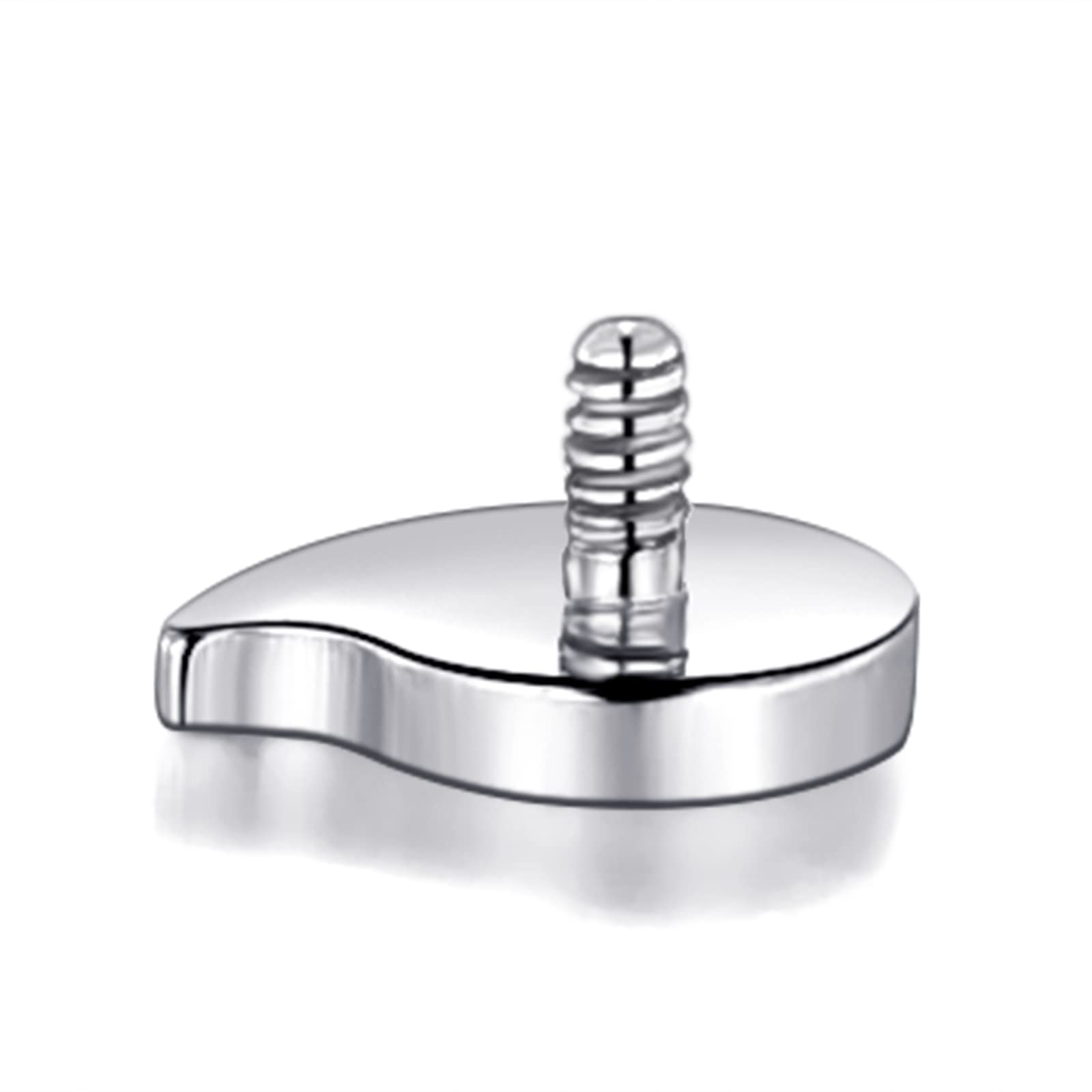 ShineYingTi 16g ASTM F136 Labret Titanium Internally Threaded Earring Helix Tragus Cartilage Ear Piercing Body Jewelery (Heart)