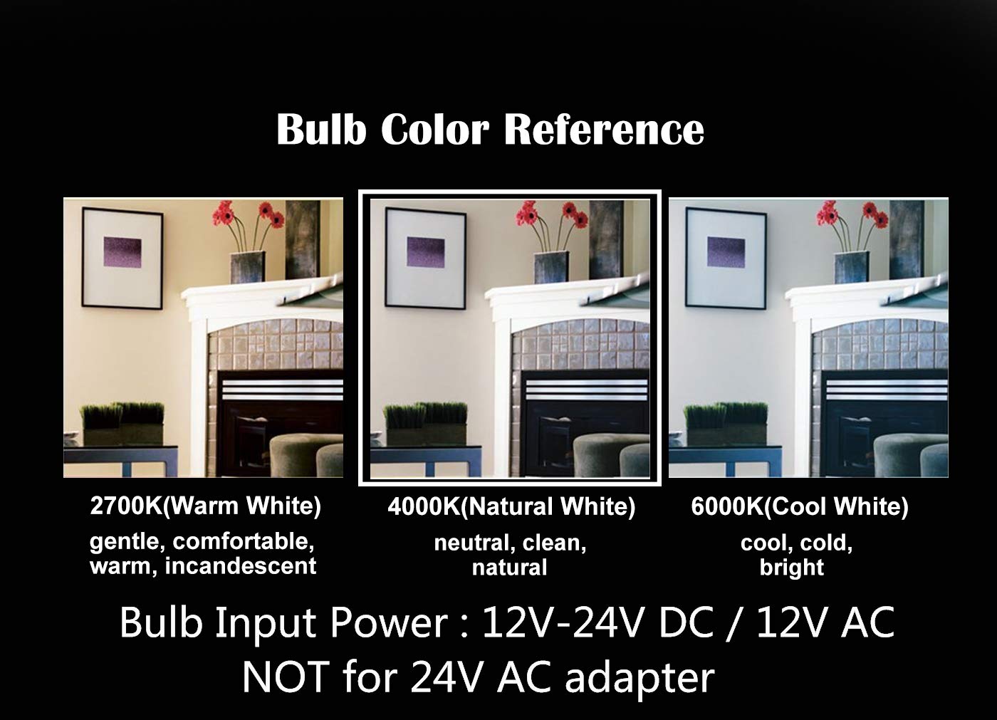 OPALRAY 12V 24V DC Input 8W LED Bulb, ST21(ST64) Style, Dimmable with 12V DC Dimmer, 4000K Bright Neutral White Light, E26 Medium Base Lamp, 80W Incandescent Equivalent, for Low Volt 12V Power, 3 Pack