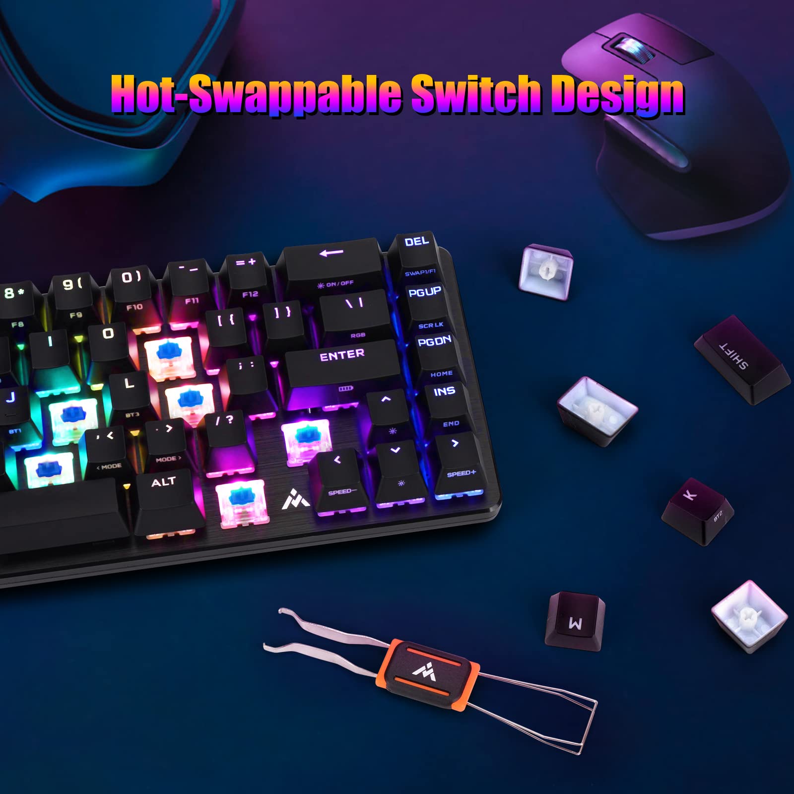 TIETI Wired Mechanical Keyboard,RGB Backlit Ultra-Compact 65% Layout 67Keys Gaming Keyboard,Hot Swappable Keyboard,Gateron Blue Switch
