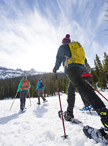 MSR Evo Trail Snowshoe Kit with Trekking Poles and Seat-Cushion Backpack
