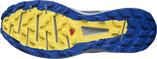 Salomon Sense Ride 4 Gore-TEX Invisible FIT Trail Running Shoes for Men, Stormy Weather/Quarry/Cherry Tomato, 8.5