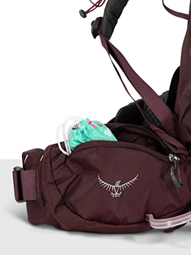 Osprey Kyte 58L Women's Backpacking Backpack with Hipbelt, Elderberry Purple, WM/L