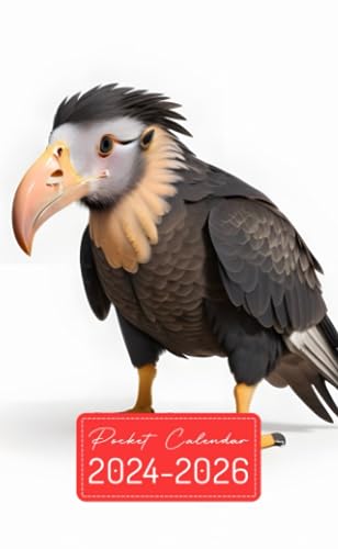 Pocket Calendar 2024-2026: Two-Year Monthly Planner for Purse , 36 Months from January 2024 to December 2026 | California condor sticker | Cartoon cute | Vermeer style