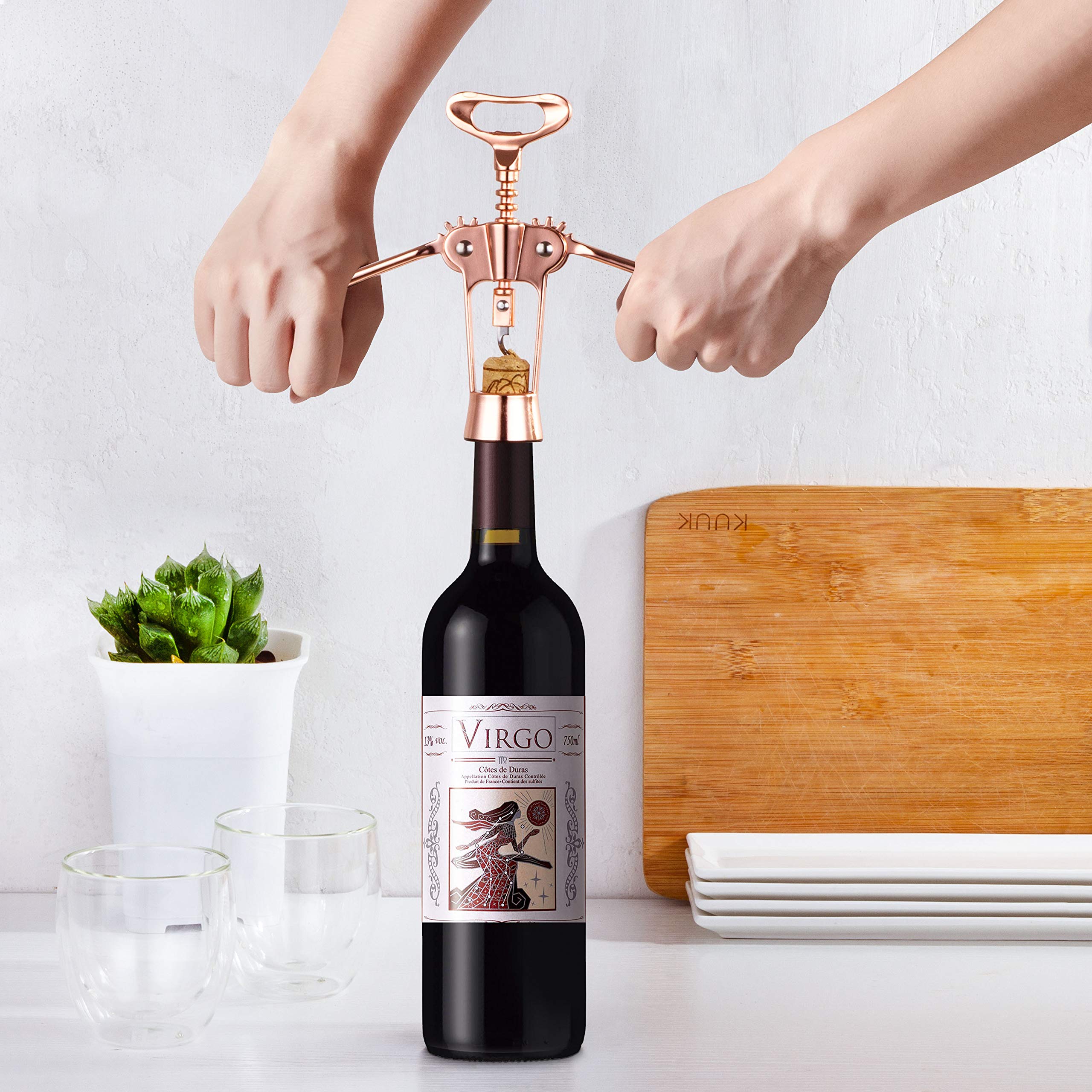 Wing Corkscrew Set by Hanee (Rose Gold) - Wine Bottle Opener - Wine Opener & Beer Bottle Opener with Foil Cutter and Pouch, Wine Accessories For Kitchen Chateau Restaurant Bars and Waiters