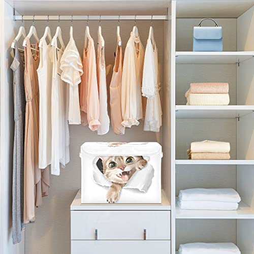 RunningBear Cartoon Cute Cat Large Storage Bins with Lid Collapsible Storage Bin Shelves Basket Clothes Toys Bin for Home Toys Clothes