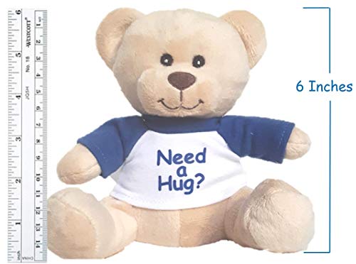 Soft and Cuddly 6 Inch Small Plush Comforting Stuffed Animal with T-Shirt (Need a Hug Teddy Bear)