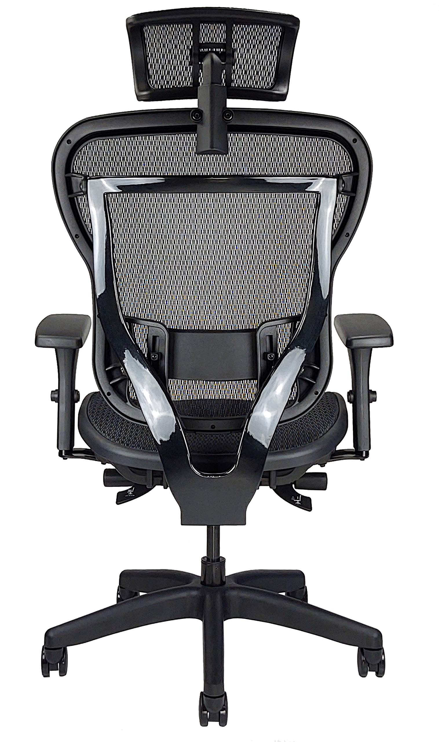 Oak Hollow Furniture Aloria Series Office Chair Ergonomic Executive Computer Chair Mesh Seat and Backrest, Adjustable and Comfortable, Lumbar Support Swivel and Tilt (Headrest, Black)