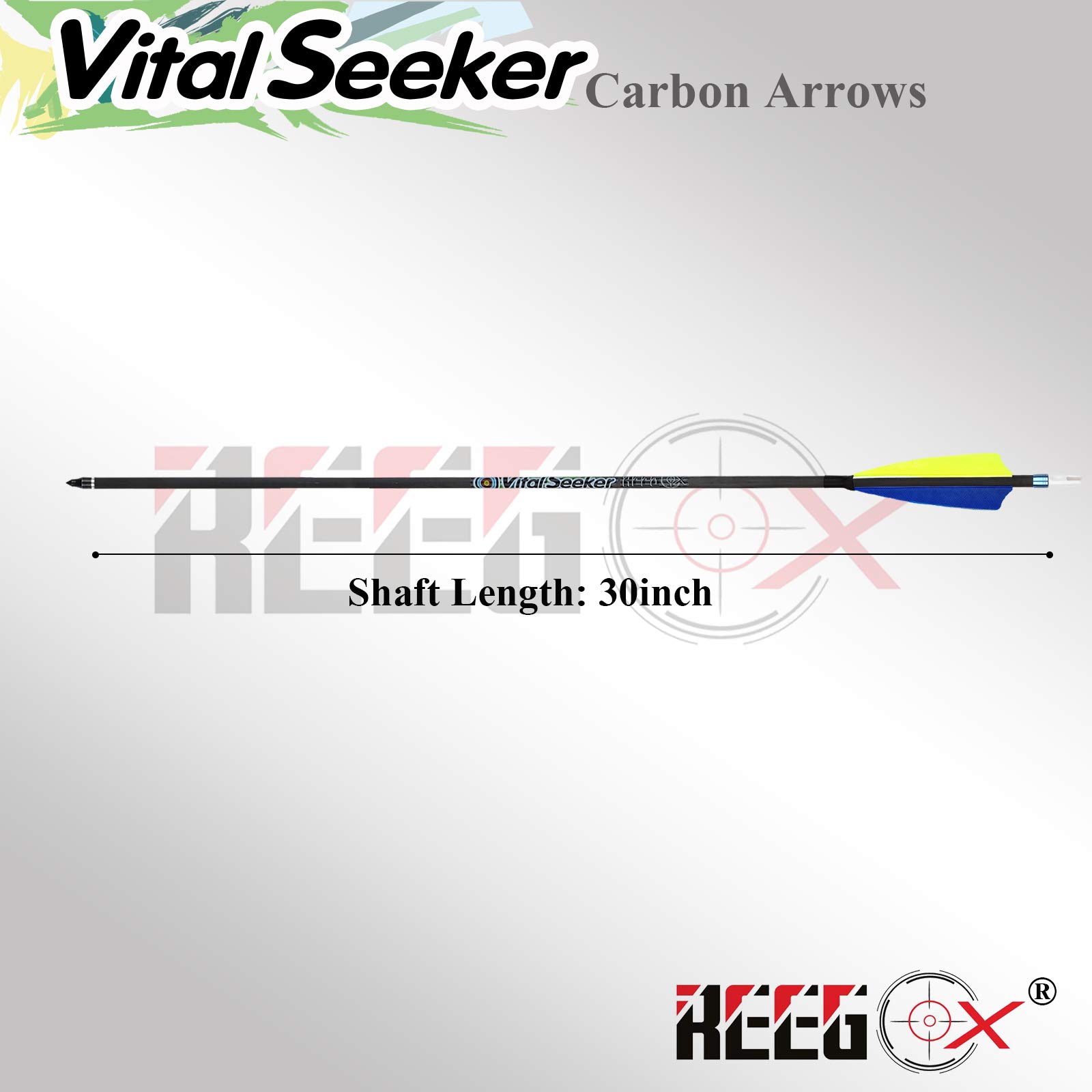 REEGOX Archery Feather Arrows Carbon 30 inch with 4” Turkey Feathers for Hunting Targeting Recurve Compound or Traditional Bow with Removable Tips (6pk)