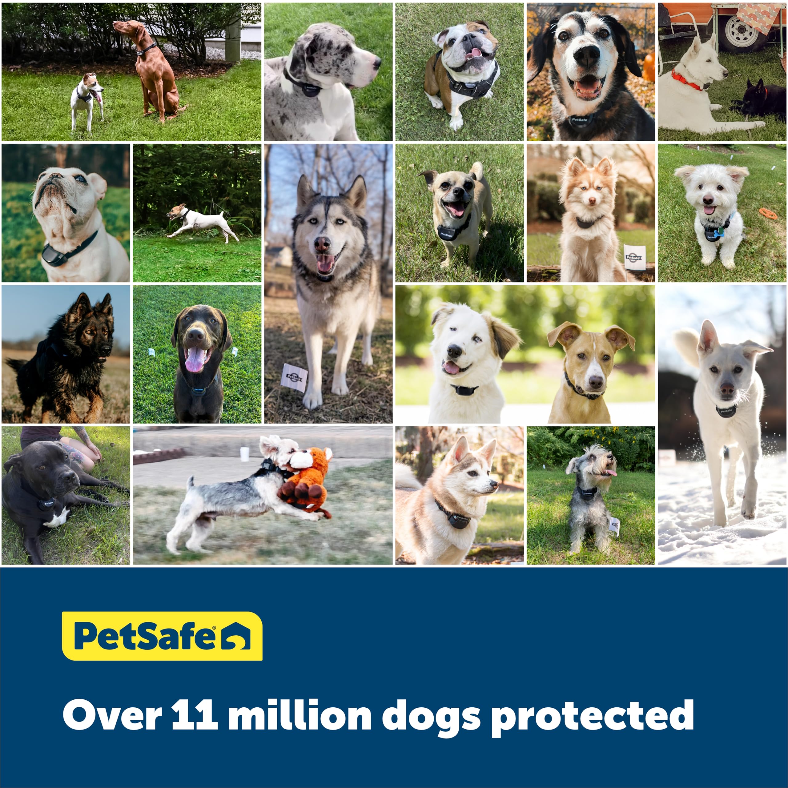 PetSafe Stubborn Dog Ultimate In-Ground Fence Kit w/ 1000 feet 16 Gauge Wire
