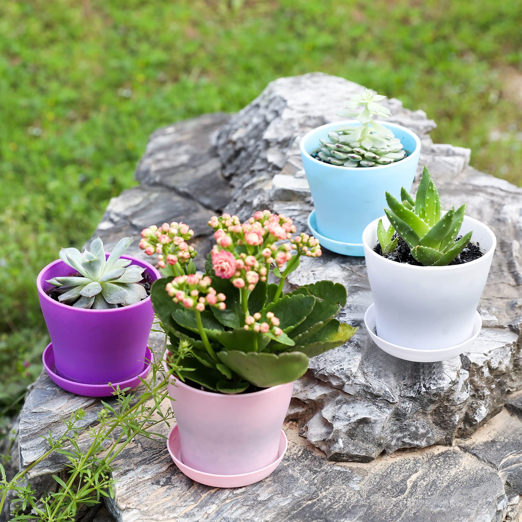 TDHDIKE 25 Pcs Plastic Planters Indoor Flower Plant Pots, Mini Flower Seedlings Nursery Pot with Pallet, Modern Decorative Gardening Containers (White, 25)