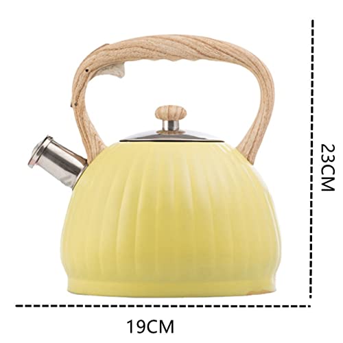 MMSEKT Camping Kettle Kettle White Stainless Steel Whistle Coffee Tea Maker Convenient Kettle With Handle Home Restaurant Supplies Cold Kettle (Size : 3.5l, Color : B)