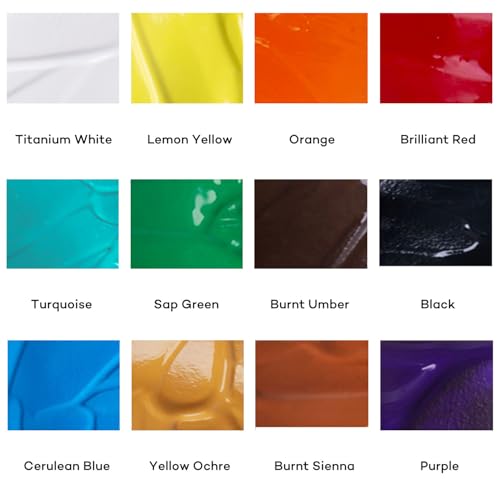 Mont Marte Signature Acrylic Color Paint Set, 12 x 16.9oz (500ml), Semi-Matte Finish, 12 Colors, Suitable for Canvas, Wood, Fabric, Leather, Cardboard, Paper, MDF and Crafts