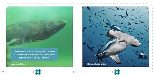 My First Book of Ocean Animals: All About Marine Wildlife for Kids