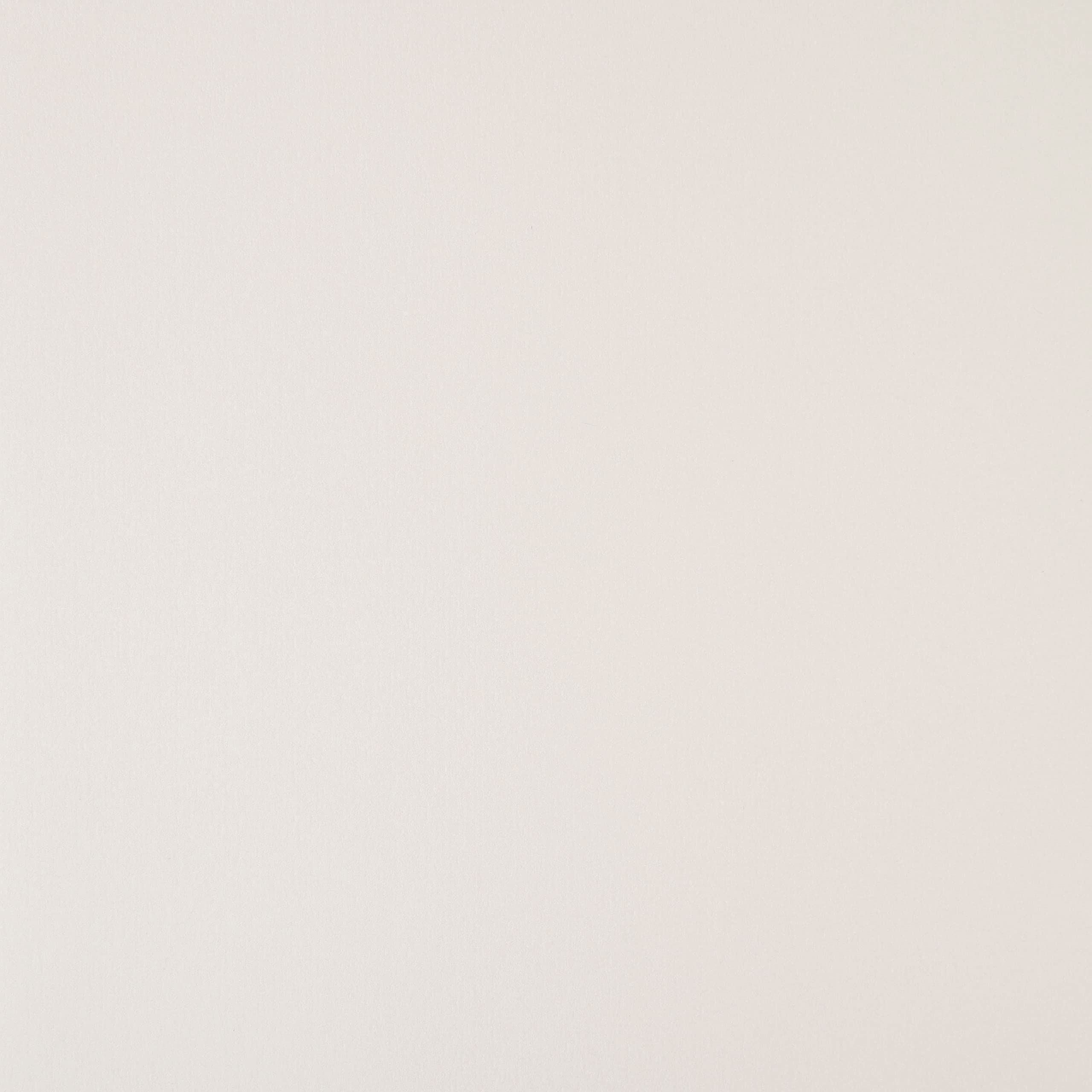 MICHAELS Shimmer Silver & Champagne 8.5”; x 11”; Cardstock Paper by Recollections®, 100 Sheets