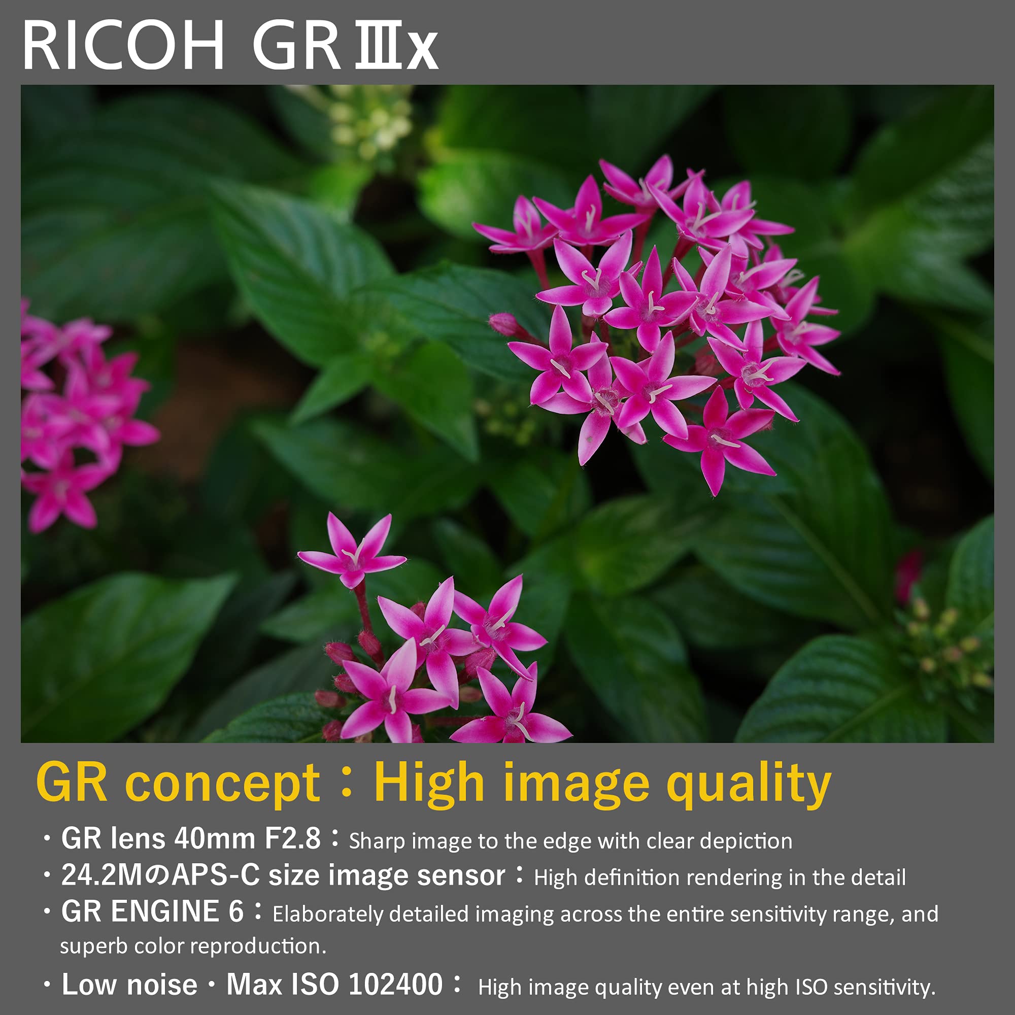 RICOH GR IIIx Digital Camera (Renewed)