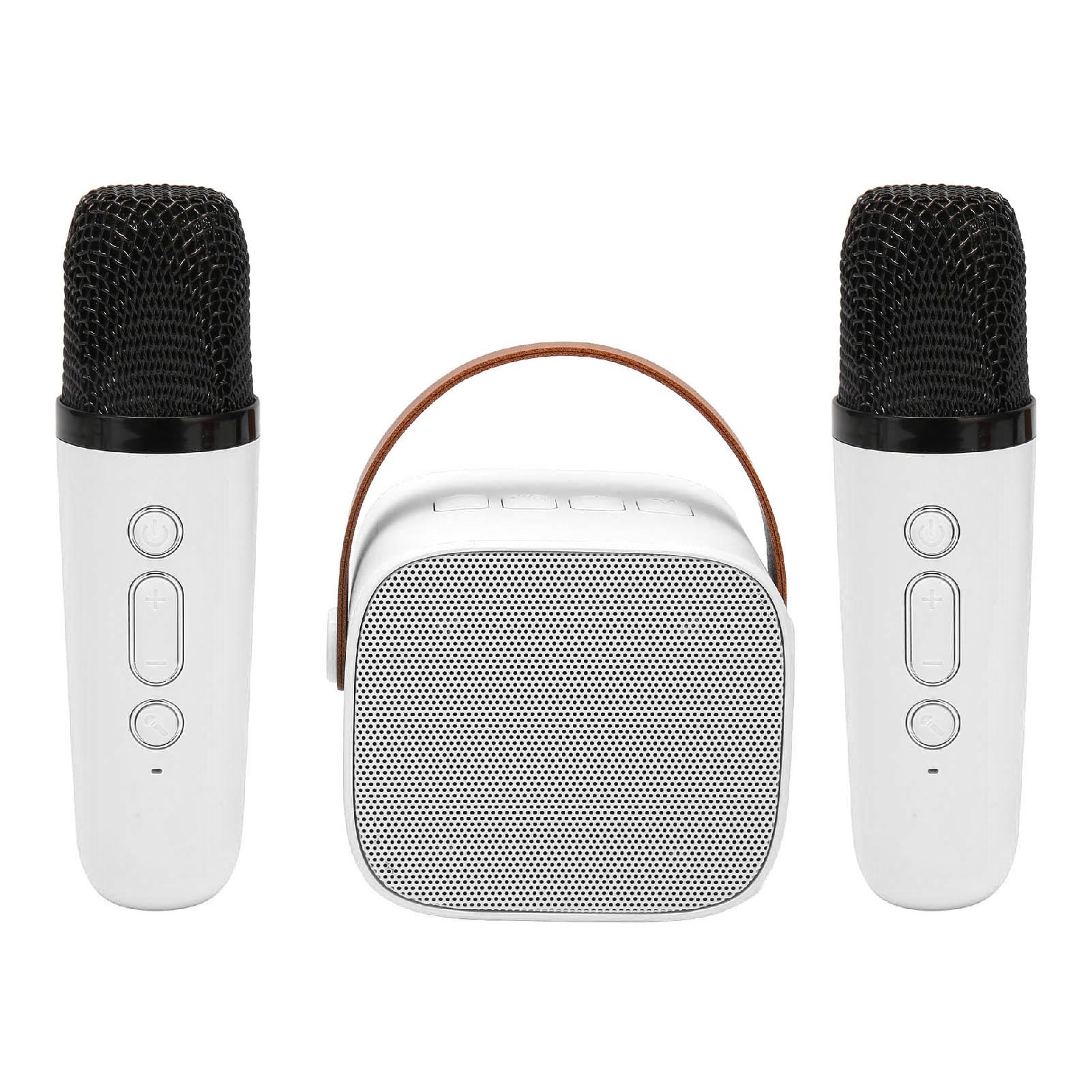 Portable Karaoke Machine, Reverb Sound Function Voice Changing Effects Portable Speaker Multifunction for Party for KTV (#1)
