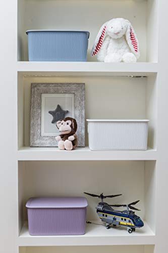 Tatay Storage Box Baobab, 22L Capacity, Polypropylene, BPA free, Mist Blue Measures 29.4 x 38.5 x 23 cm