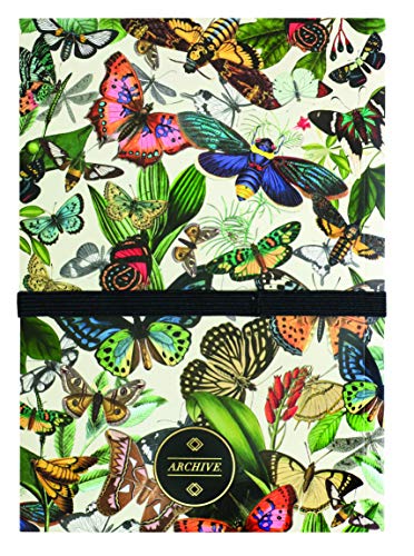 Portico Designs Blank Notecard Set with Card Wallet for Notecards Archive Collection Stationary Set, 10-Count, A Little Note