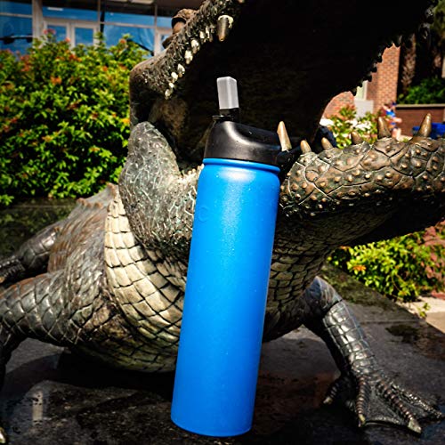 Seriously Ice Cold SIC 27oz Insulated Water Bottle Thermos, Premium Triple Layer Vacuum Stainless Steel, BPA Free Wide Mouth Lid with Carabiner Clip