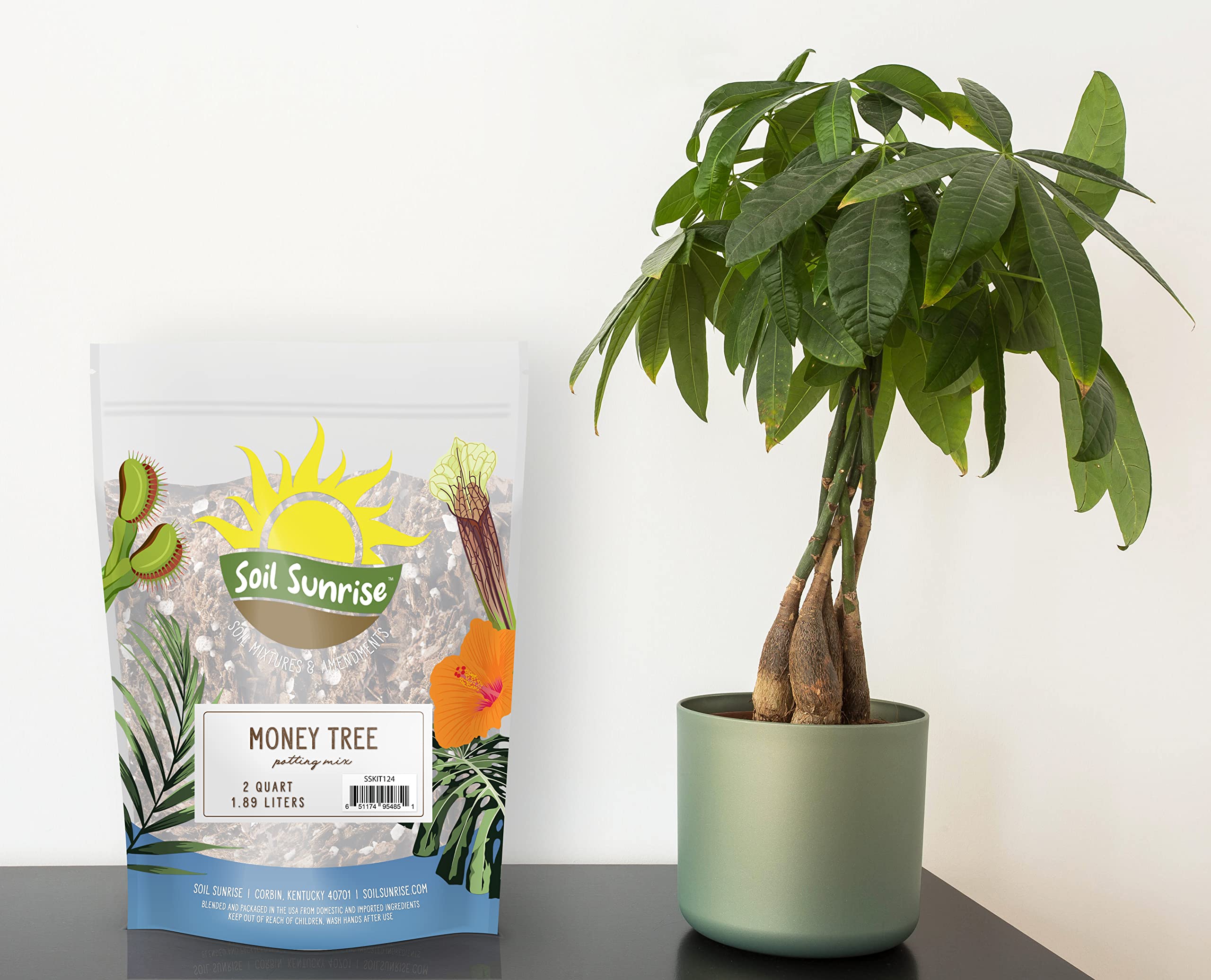 Money Tree Potting Soil Mix (2 Quarts); Custom Blend for Money Plant Container Gardening