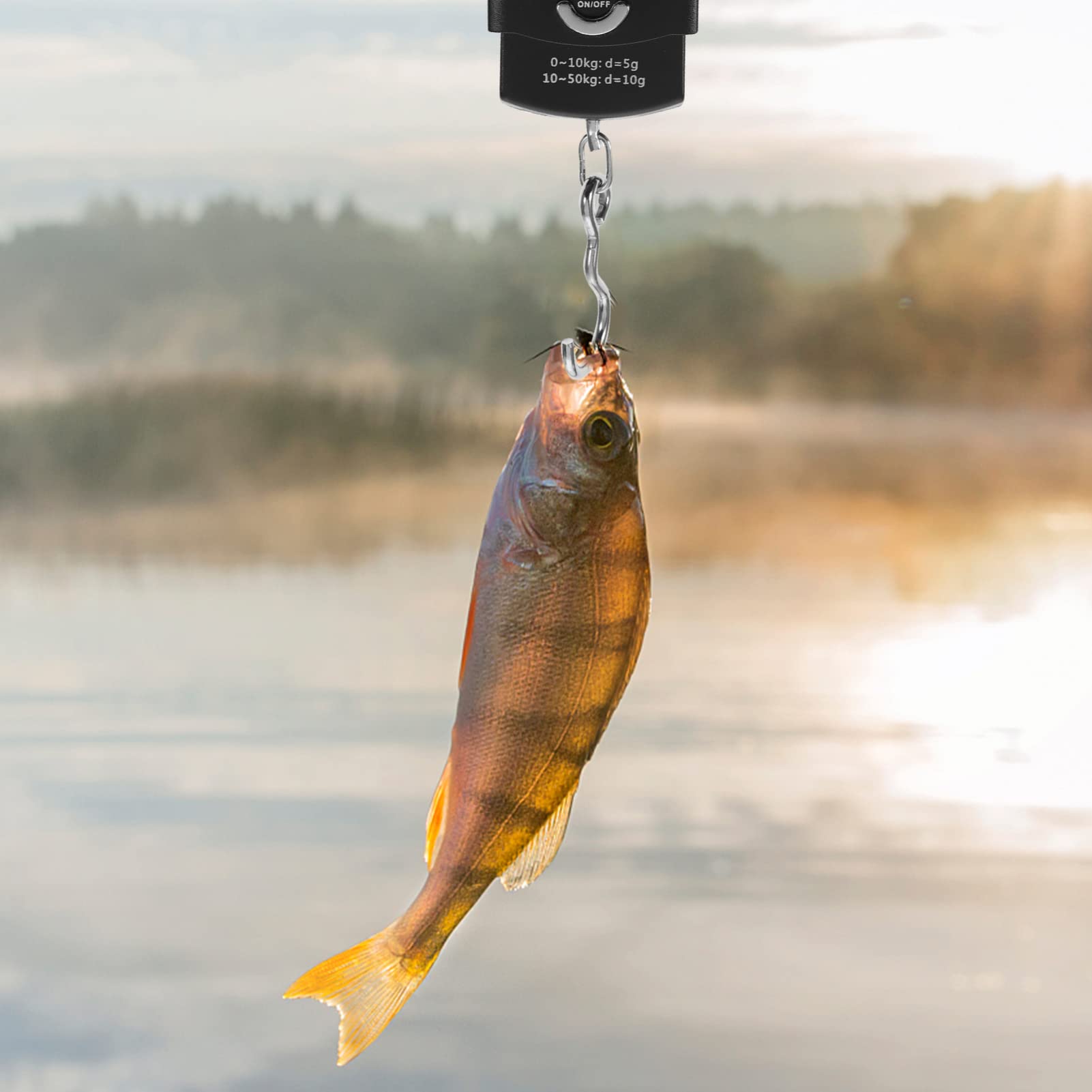 Spring Balance Digital Small Scales Small Weight Scale Hook Scale Home Supplies Home Electronic Scale Kitchen Weight Scale Hanging Scale Fishing Weight Scale Hand Scale Fish Scale
