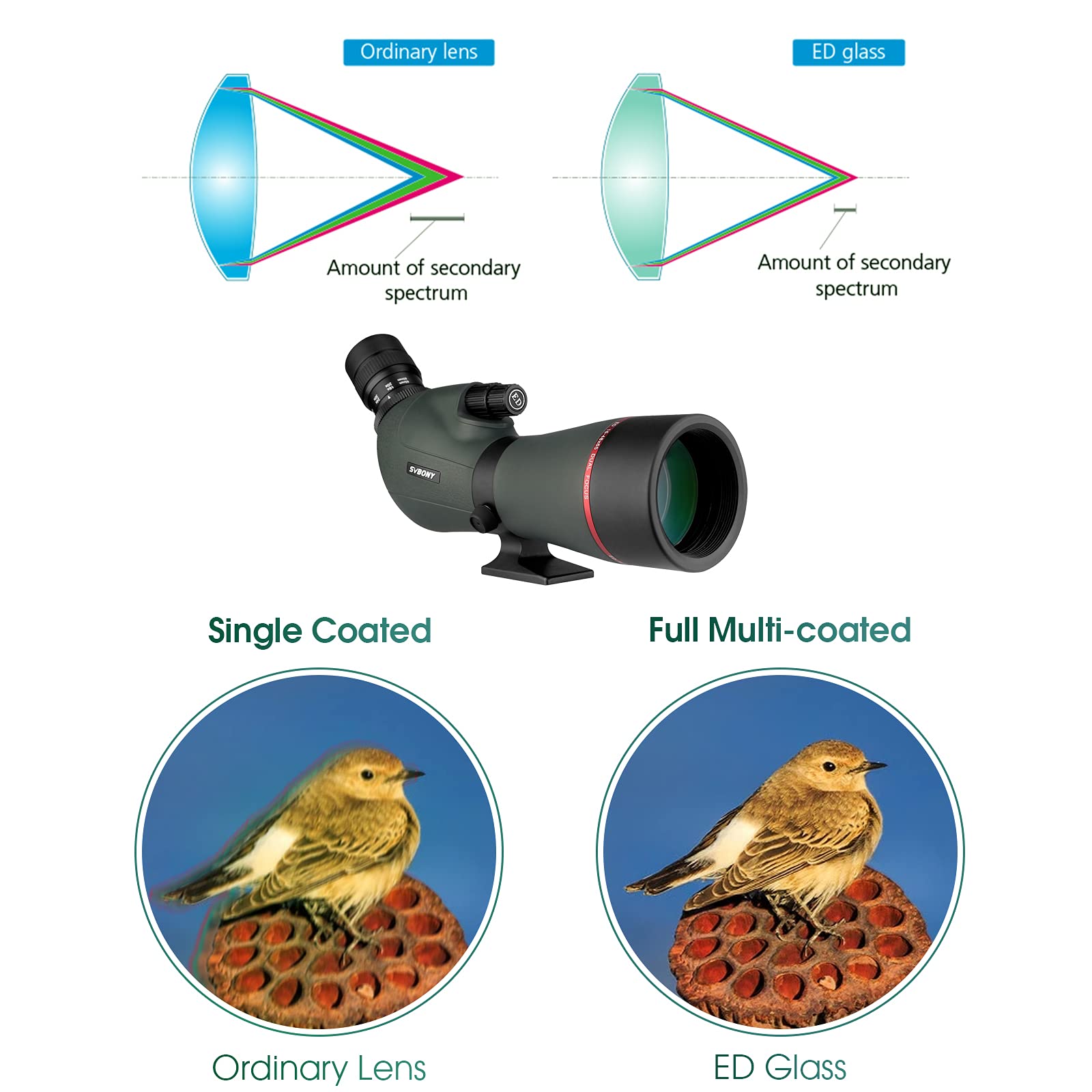 SVBONY SC001 WIFI Spotting Scope Camera Bundle with SV406P Dual Focus Spotting Scope for Birding Capture Photos and Video