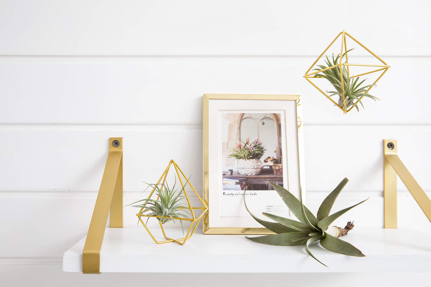 Mkono 5 Pack Air Plant Holder Metal Himmeli Decor in 2 Shapes, Gold